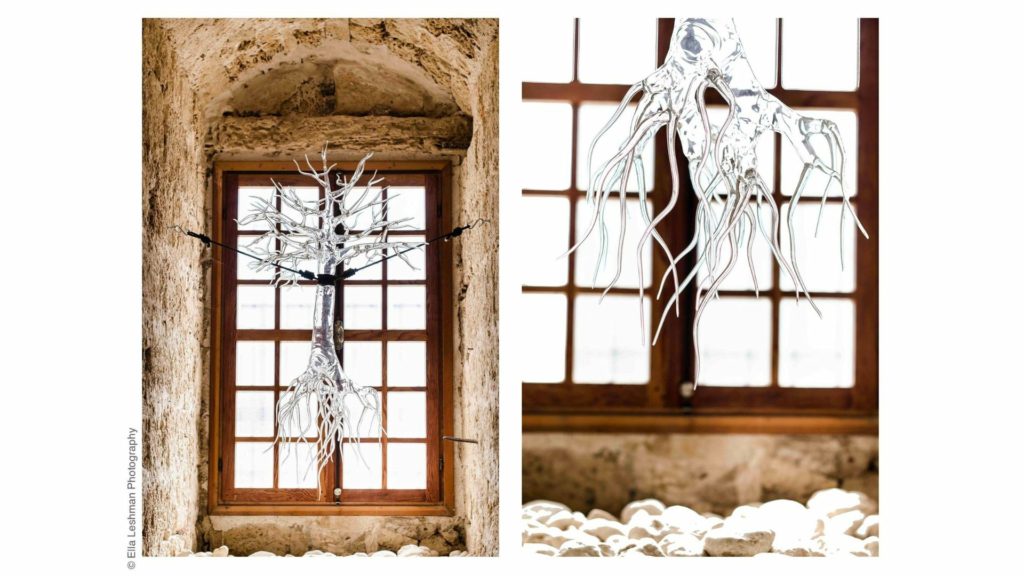 Al Museo HaMizgaga nel Kibbutz di Nahshonim un affascinante albero in ...